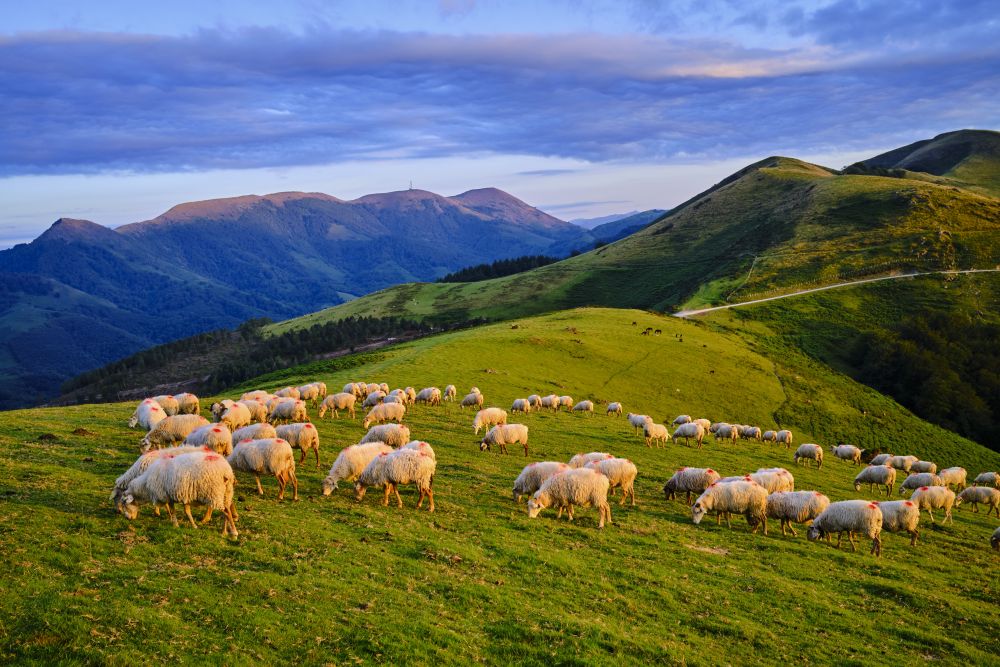 A trip to the Basque country